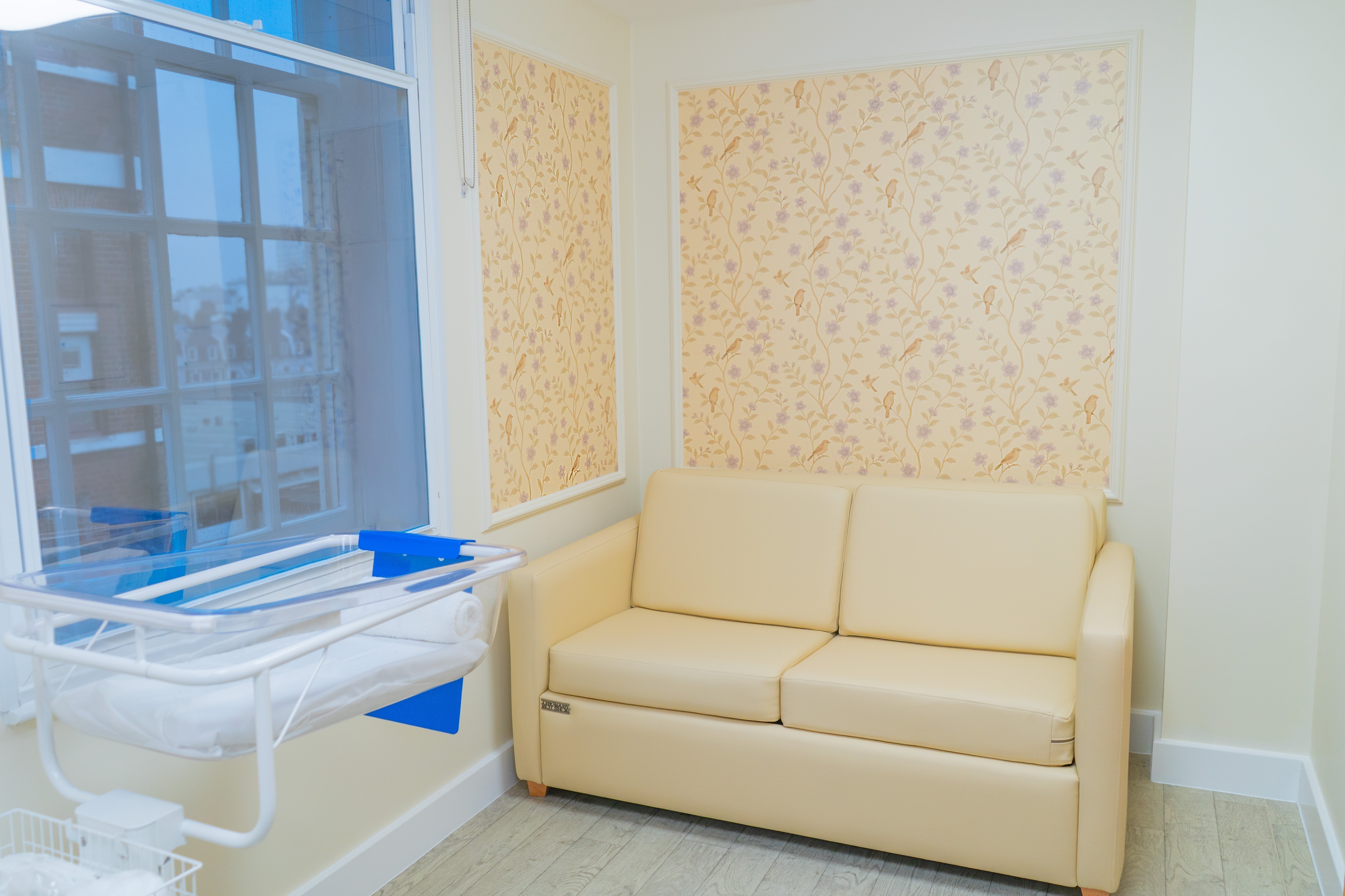 From Hospital to Home: Creating a Calm Nursery After Birth – The Baby ...